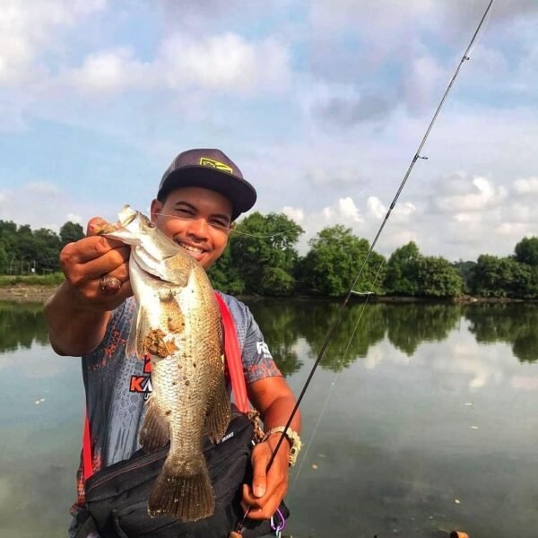 Hampala, Sebarau, Haruan, Snakehead, Gerepoh, Giant Trevally, Talapia ...