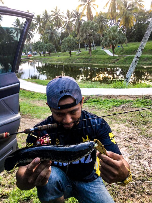 Aruan Tasek, Cobia, Sotong, Squid, Talapia, Tilapia, Ikan Raja, Peacock ...